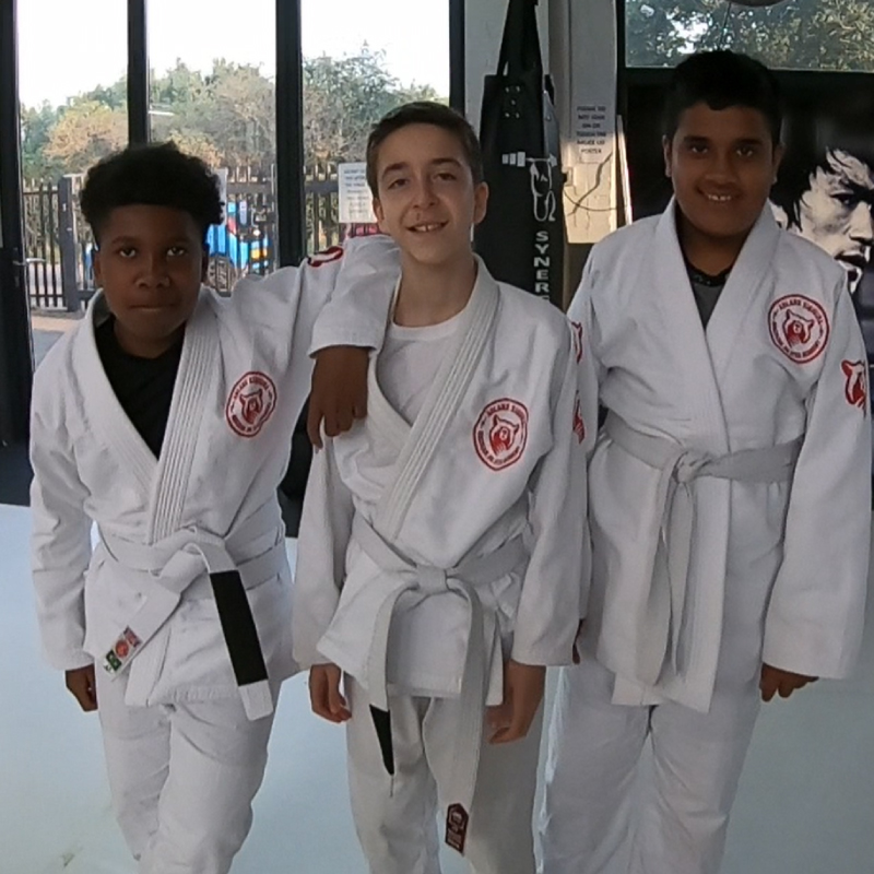 About Us – NEW ELEMENT MMA – Kids Brazilian Jiu Jitsu Essex, Buckhurst ...